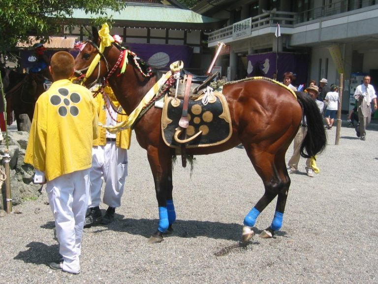 独語75 多度大社の上げ馬神事3 | 青木犬猫病院 AOKI PET'S CLINIC